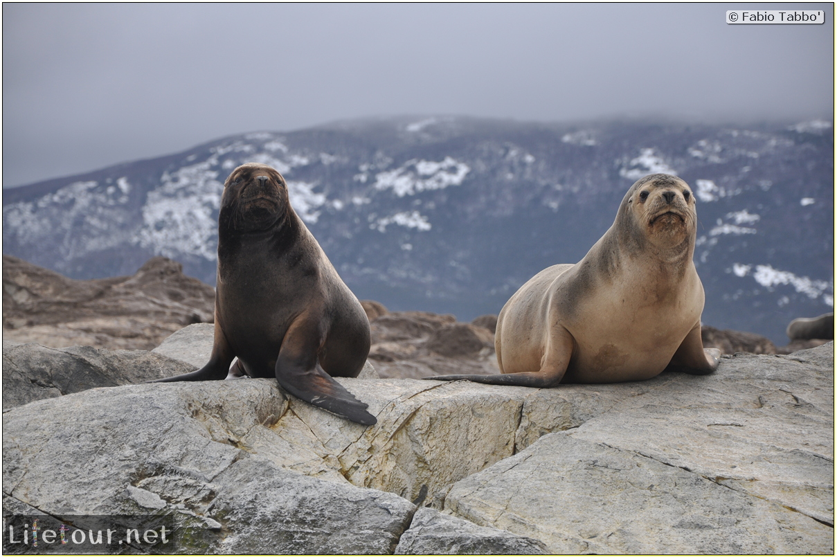 Fabio’s Life Tour • Fabio’s LifeTour