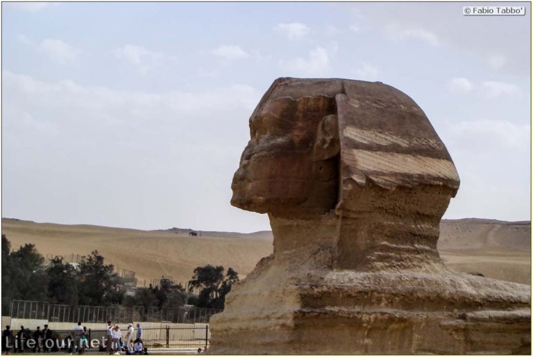 The Spinx • Fabio’s LifeTour