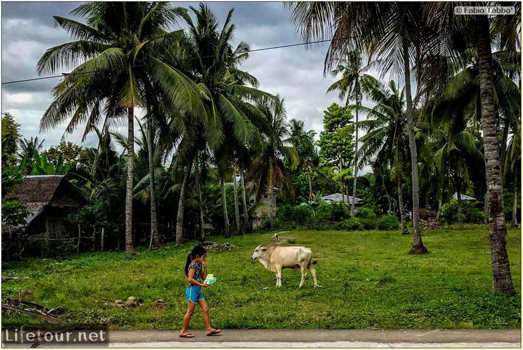 Liloan • Fabio’s LifeTour